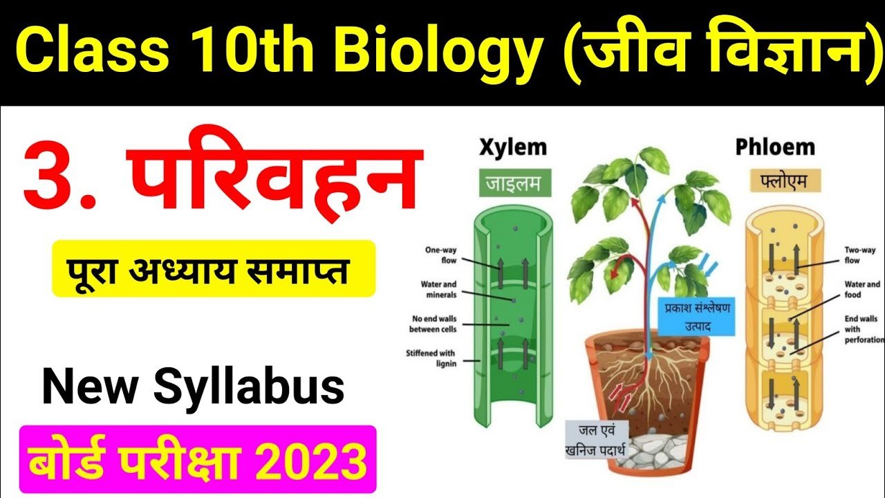 Biology Chapter 3 Notes & Subjective Question Class 10th || परिवहन ...